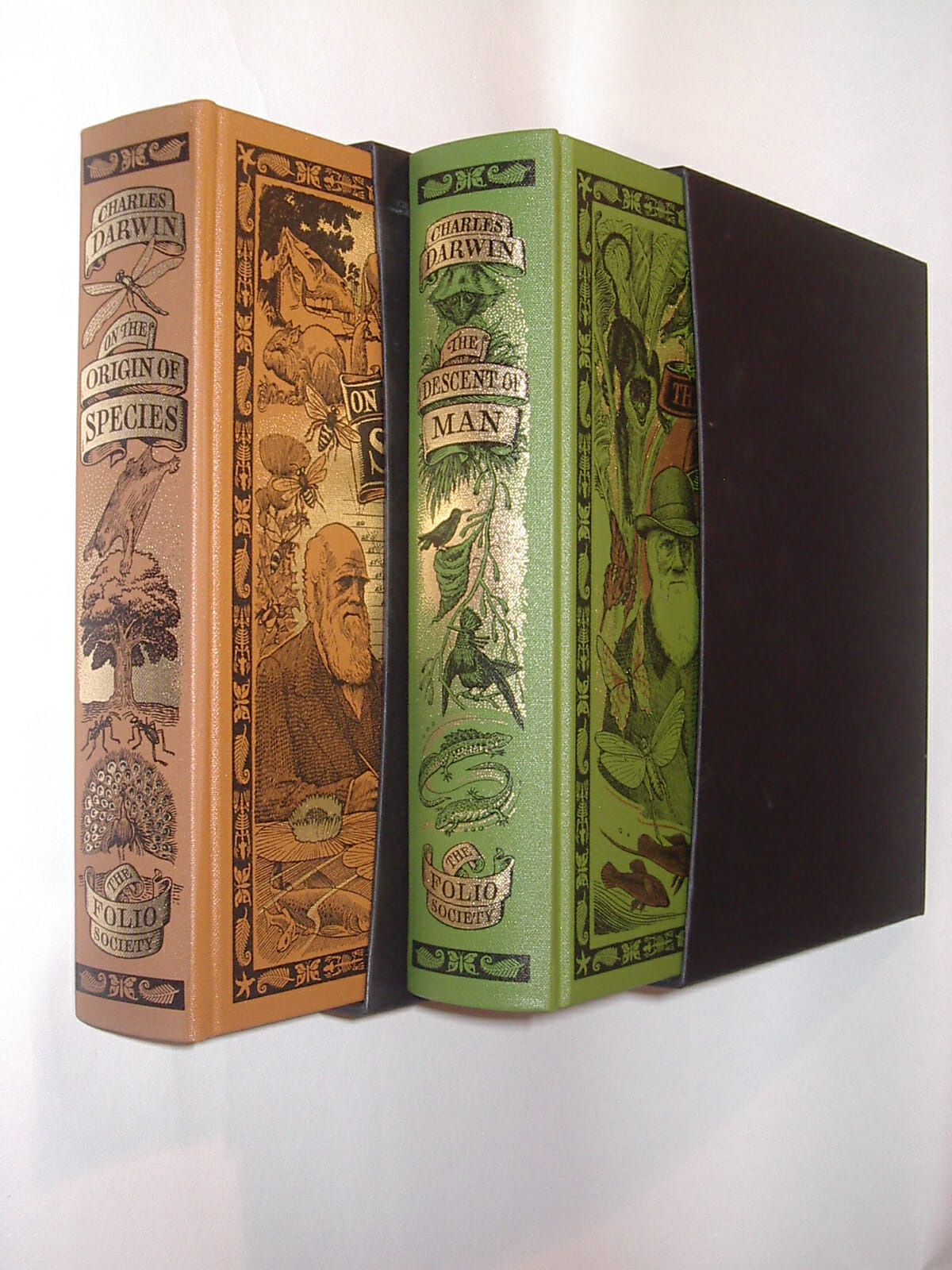 On The Origin Of Species And The Descent Of Man Charles Darwin Folio Society 2008 Hc Books