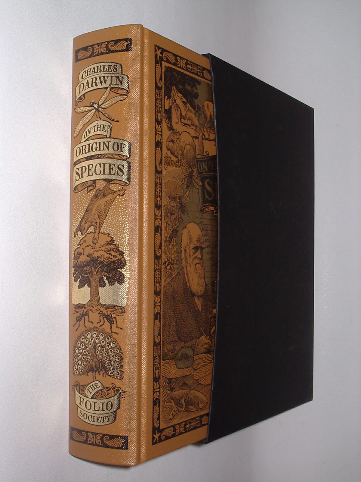 On The Origin Of Species Charles Darwin Folio Society 2012 Hc Books